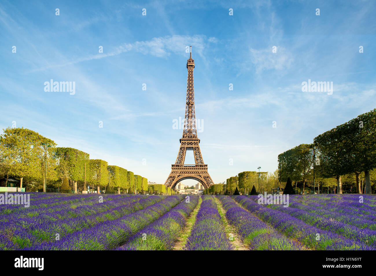Schone City Camp Paris Bilder