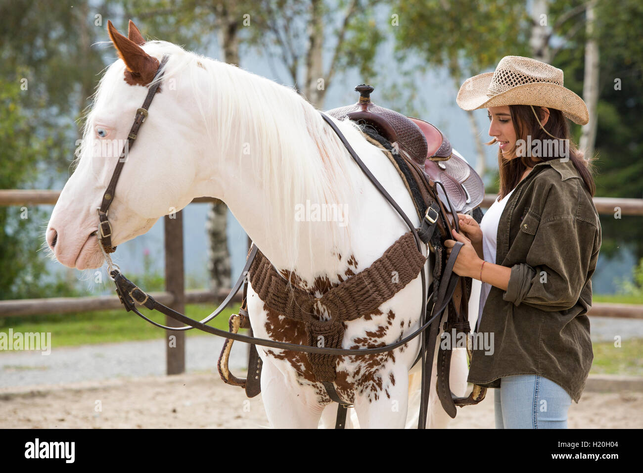 Frau sattelt pferd -Fotos und -Bildmaterial in hoher Auflösung – Alamy