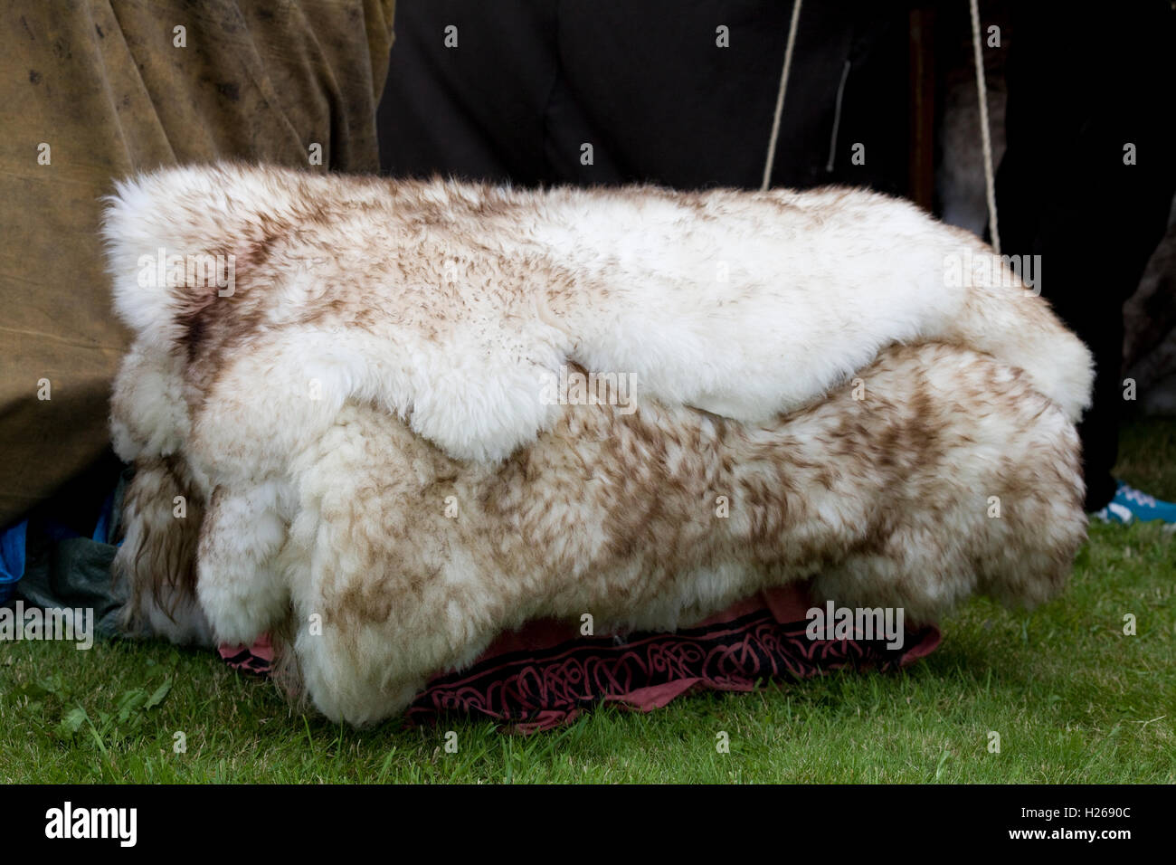 Pelz und Leder Tier versteckt auf einem festival Stockfotografie - Alamy