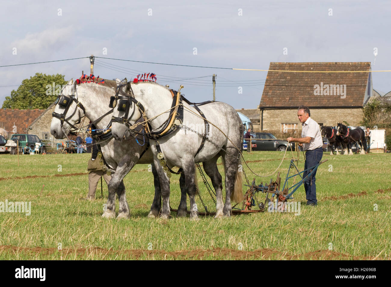 Traditionelle pflügen ein Bauer arbeitet das Land mit Pferden und einem ...