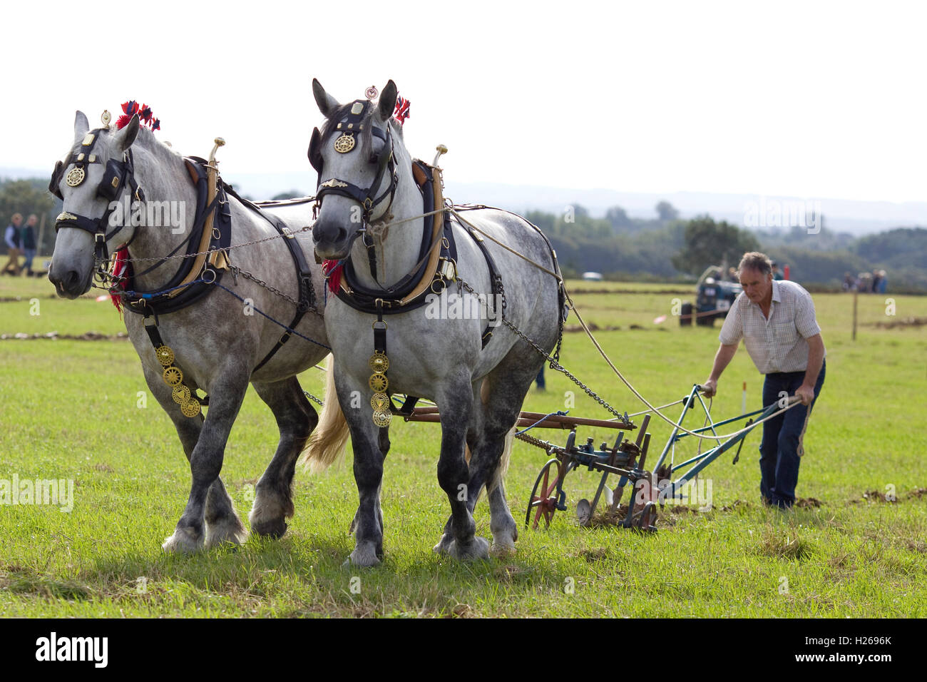 Bauer bearbeitet das land mit pferden -Fotos und -Bildmaterial in hoher ...