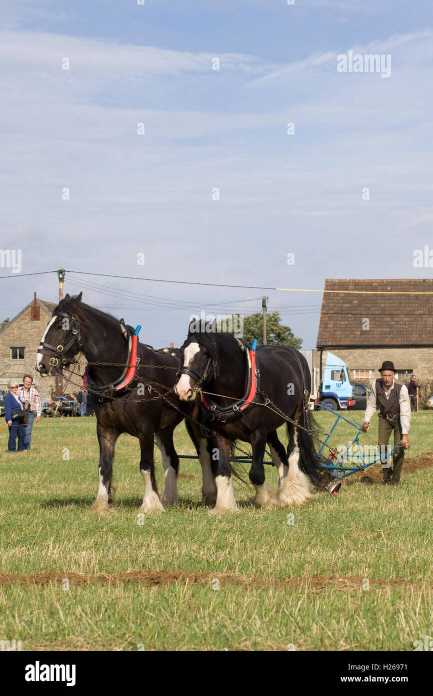 Traditionelles pferdepflügen -Fotos und -Bildmaterial in hoher ...
