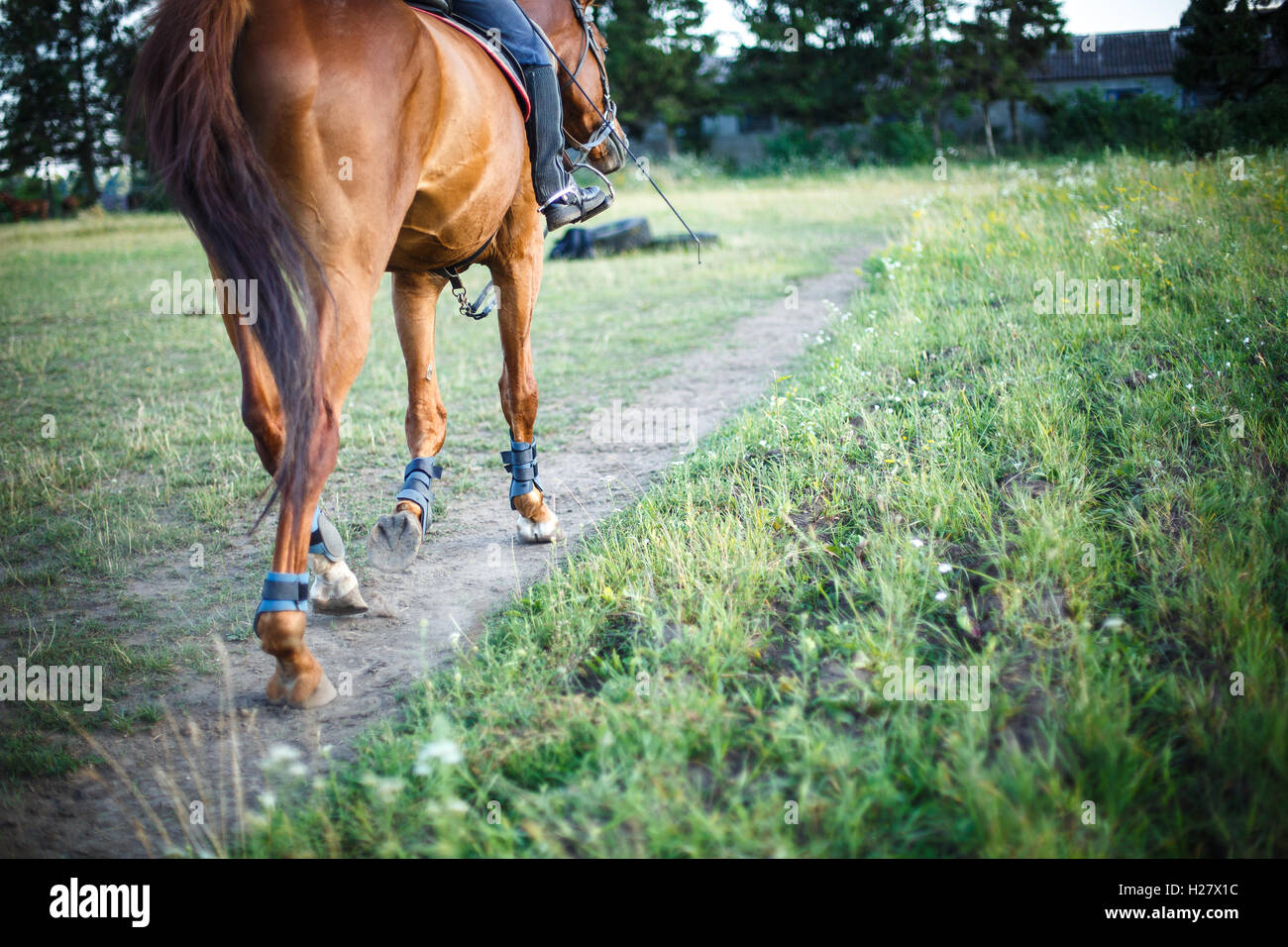 Hübsche reiterin pferd -Fotos und -Bildmaterial in hoher Auflösung – Alamy