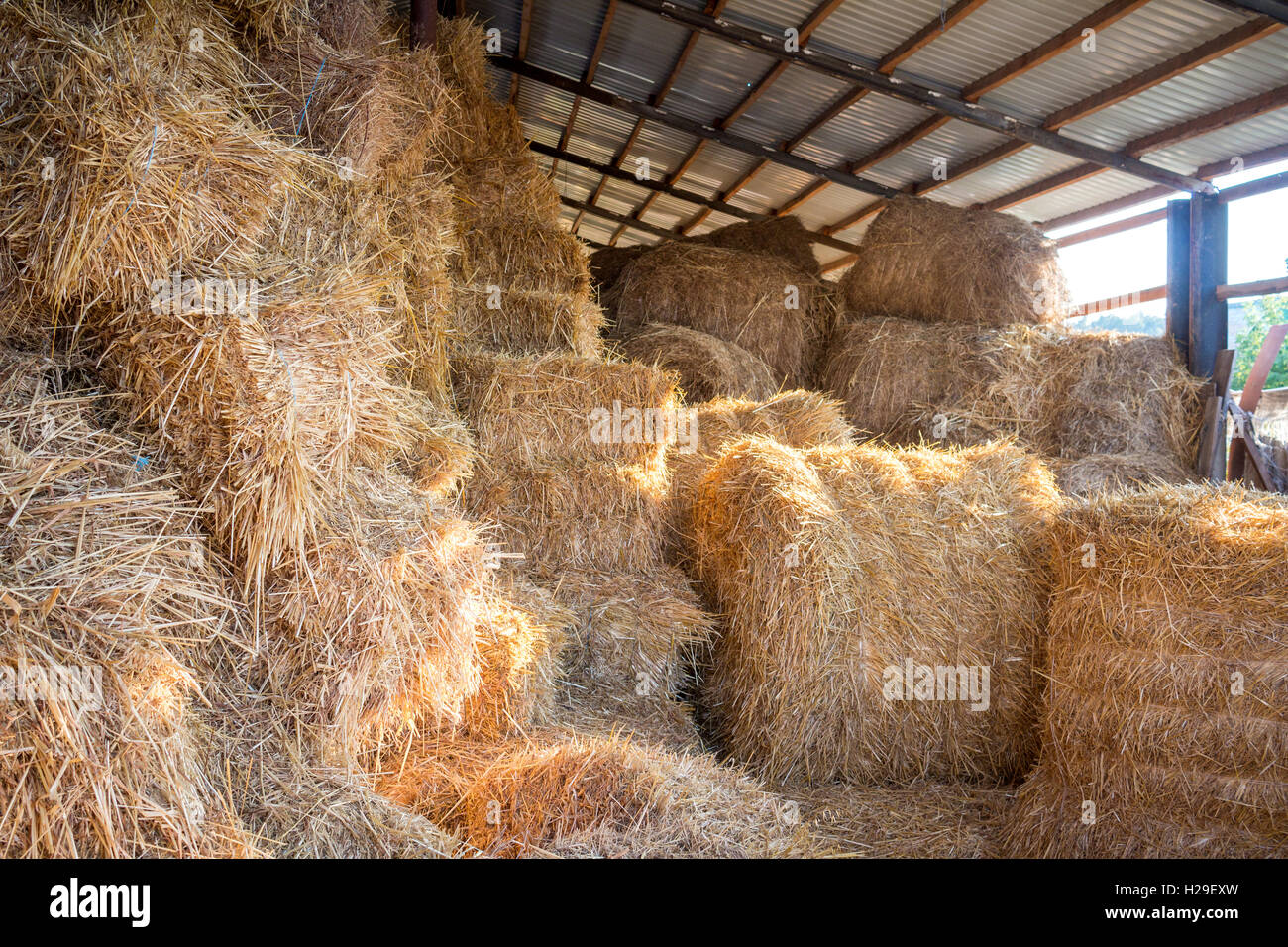 Farm hangar -Fotos und -Bildmaterial in hoher Auflösung – Alamy