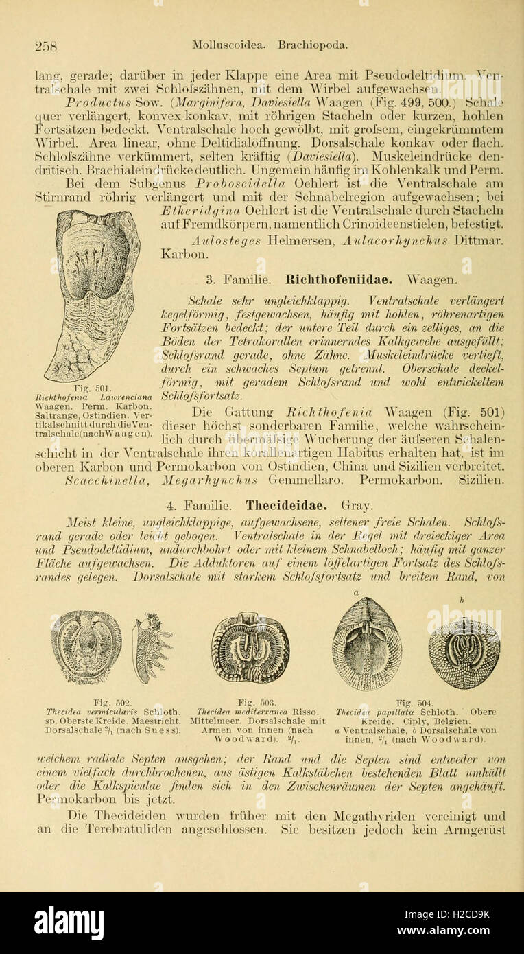 Diese Arbeit beschreibt die Grundprinzipien der Paläontologie und deckt ...