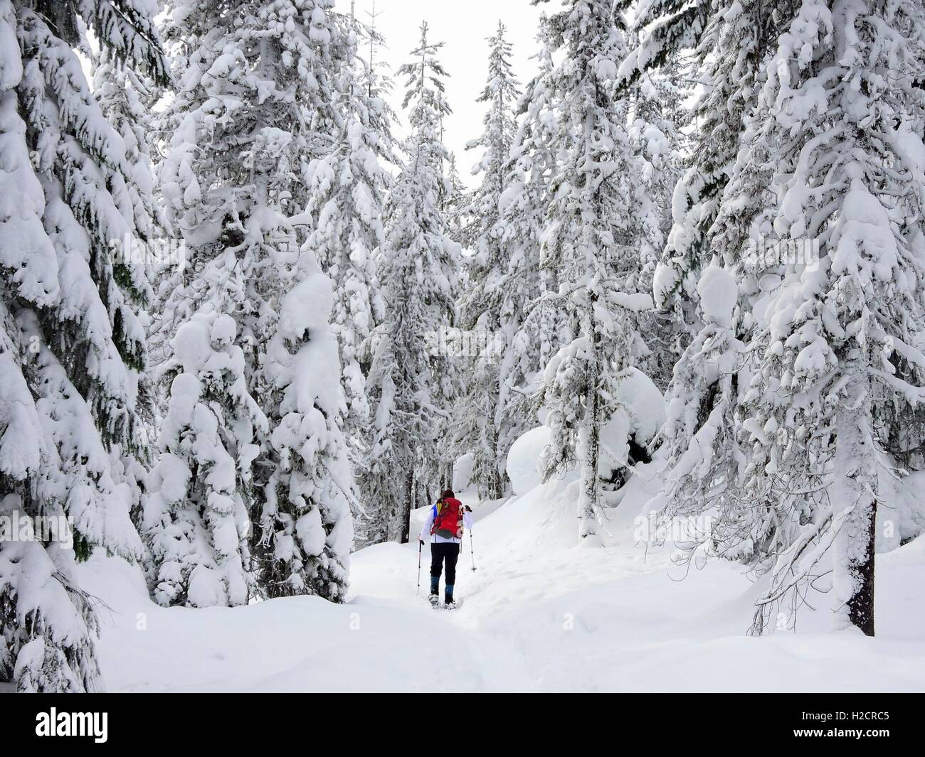 Mount bennett -Fotos und -Bildmaterial in hoher Auflösung – Alamy