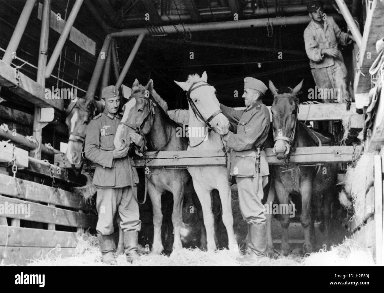 Das Bild der Nazi-Propaganda zeigt Soldaten der deutschen Wehrmacht und ...