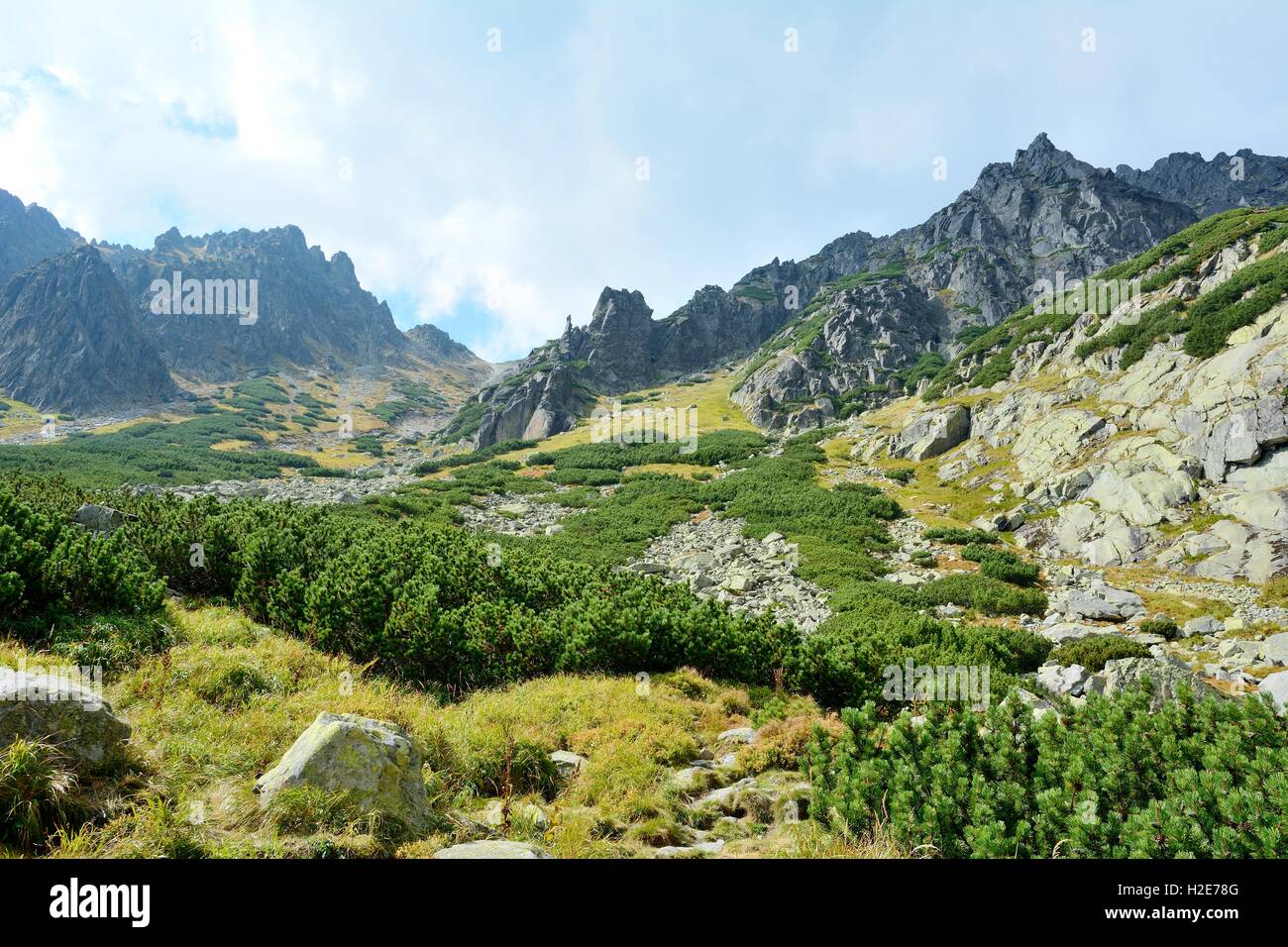 Tatra gebirgsgipfel -Fotos und -Bildmaterial in hoher Auflösung – Alamy