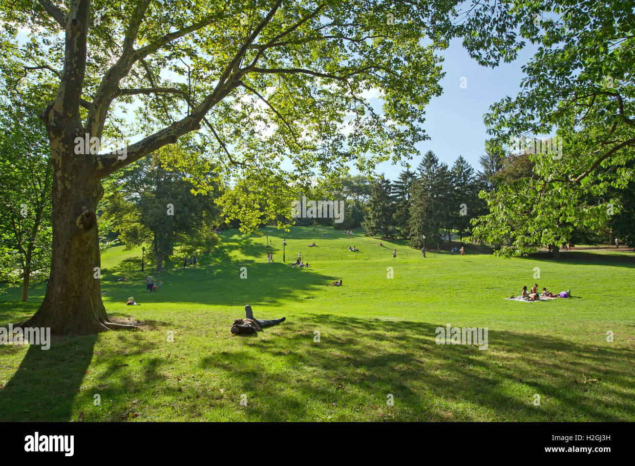 Rasen mit park -Fotos und -Bildmaterial in hoher Auflösung – Alamy