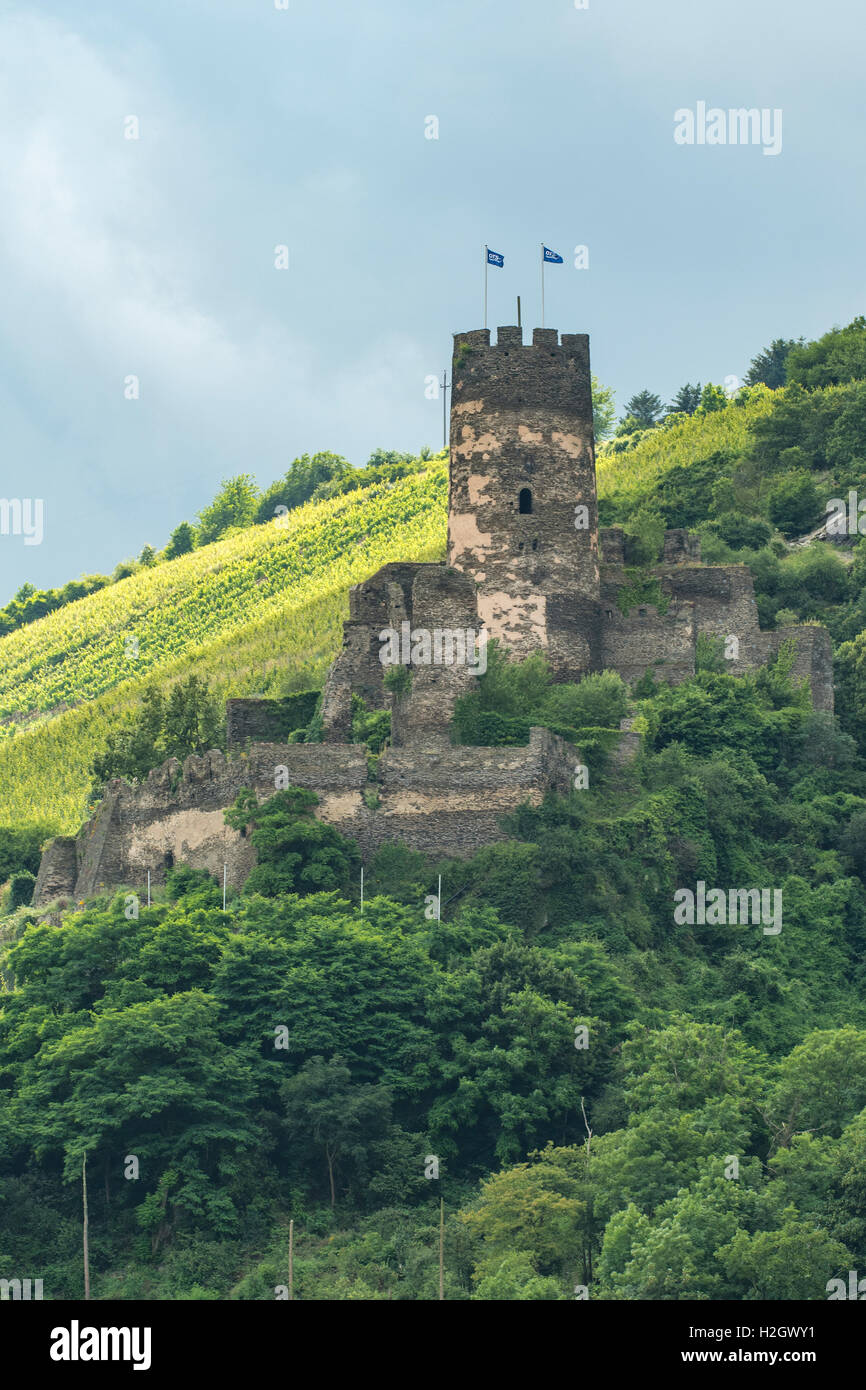 Ruine der Burg Fürstenberg, Bacharach am Rhein, Deutschland ...