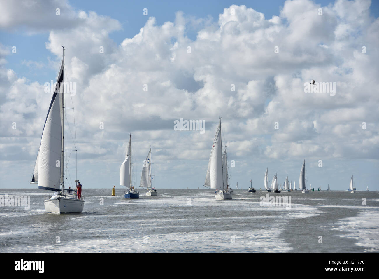Segelboote zwischen Harlingen-Vlieland-Terschelling Ebbe Flut fließen ...