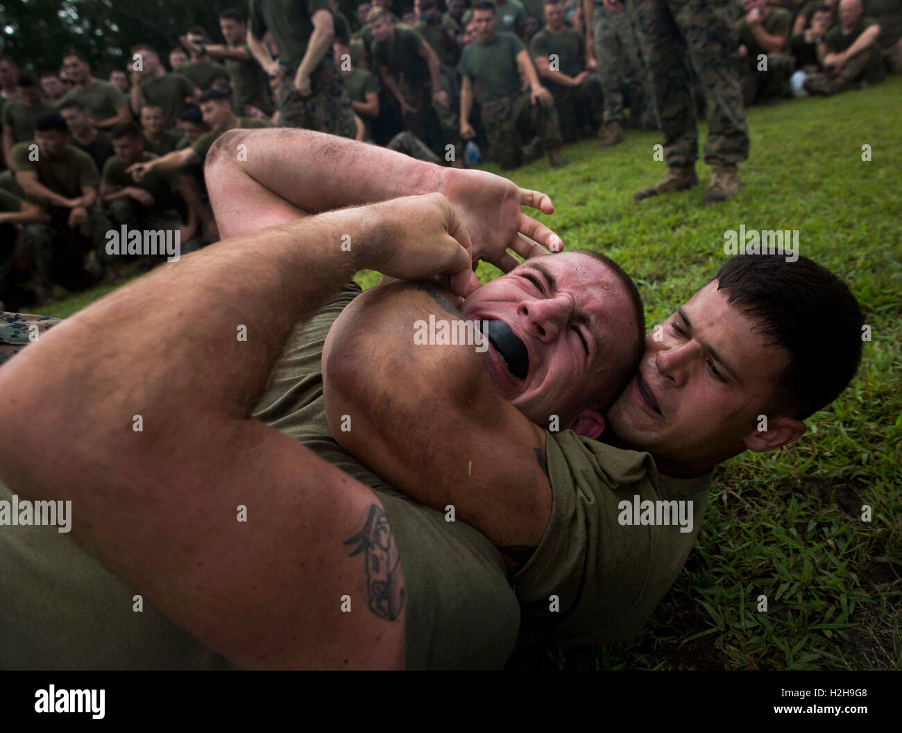 Camp devil dog -Fotos und -Bildmaterial in hoher Auflösung – Alamy