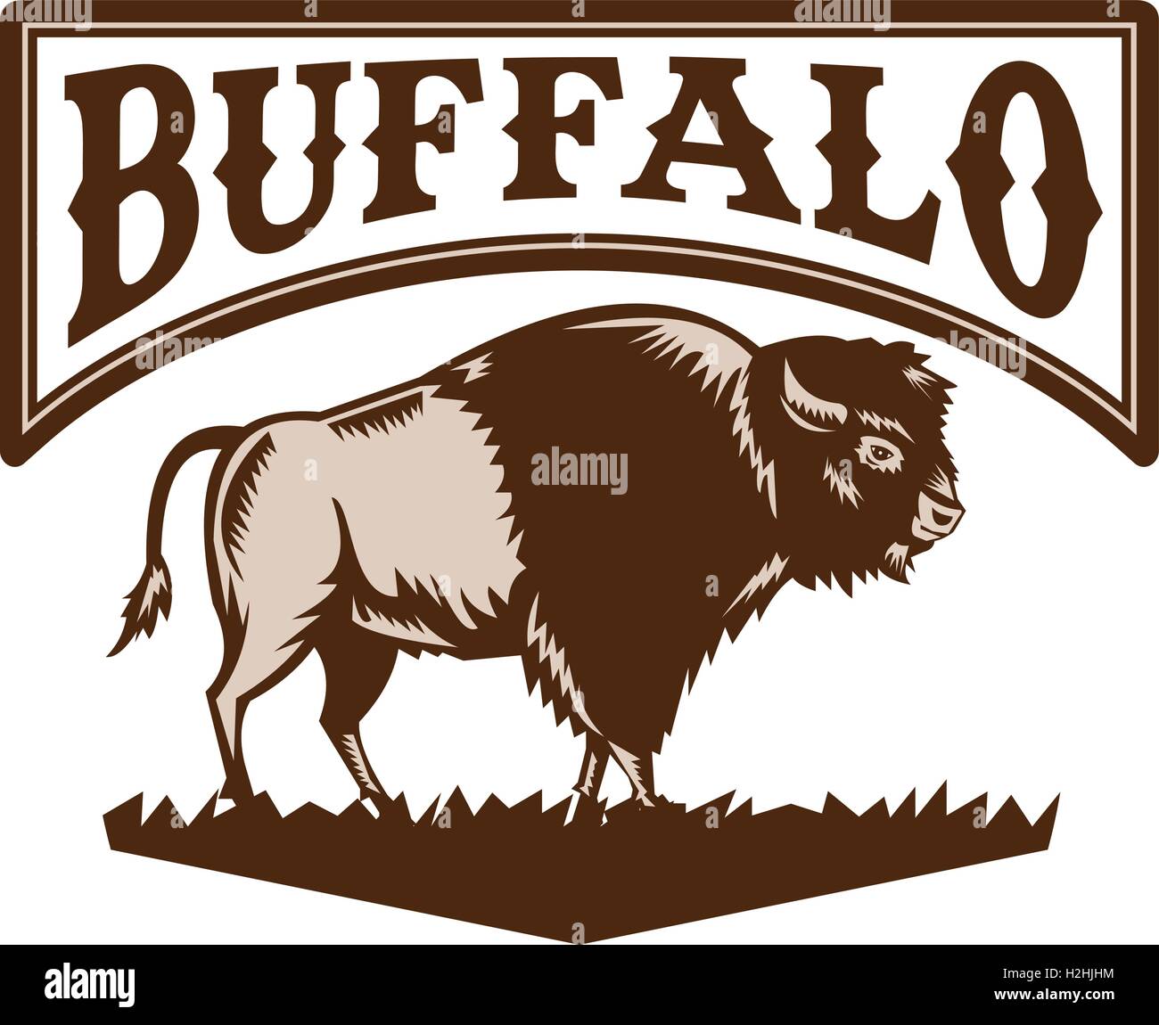 American bison buffalo side view -Fotos und -Bildmaterial in hoher ...