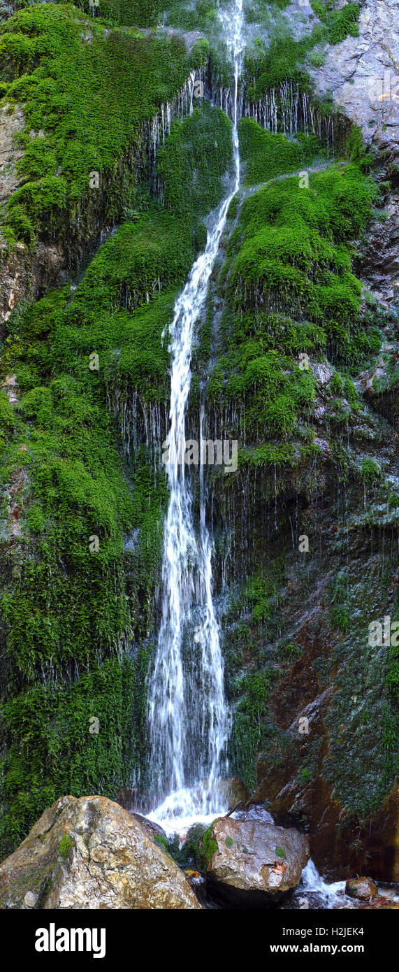 Berchtesgadener Nationalpark Wimbach Klamm Wimbahklamm Wasserfall ...