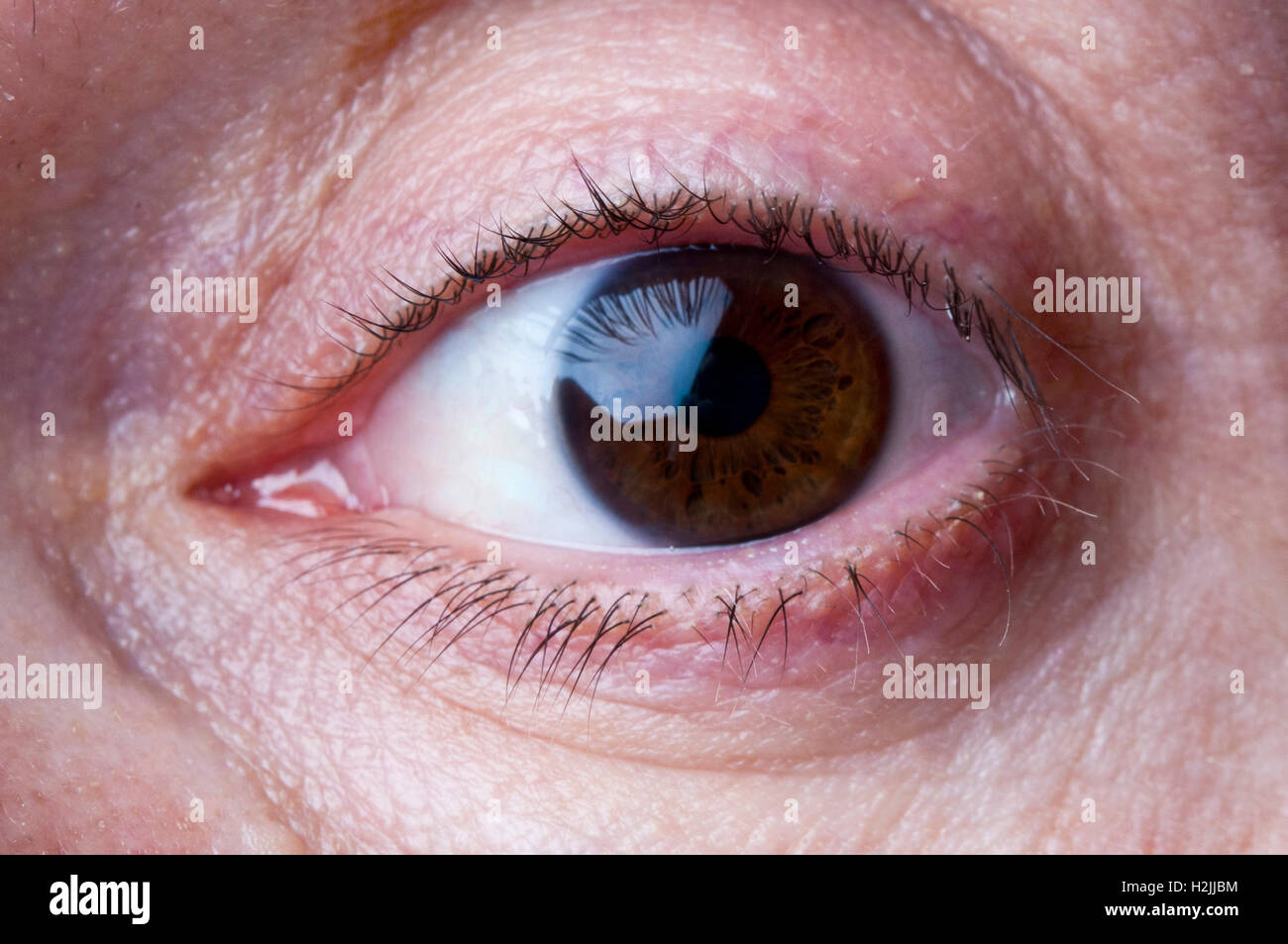 Auge dunkel -Fotos und -Bildmaterial in hoher Auflösung – Alamy