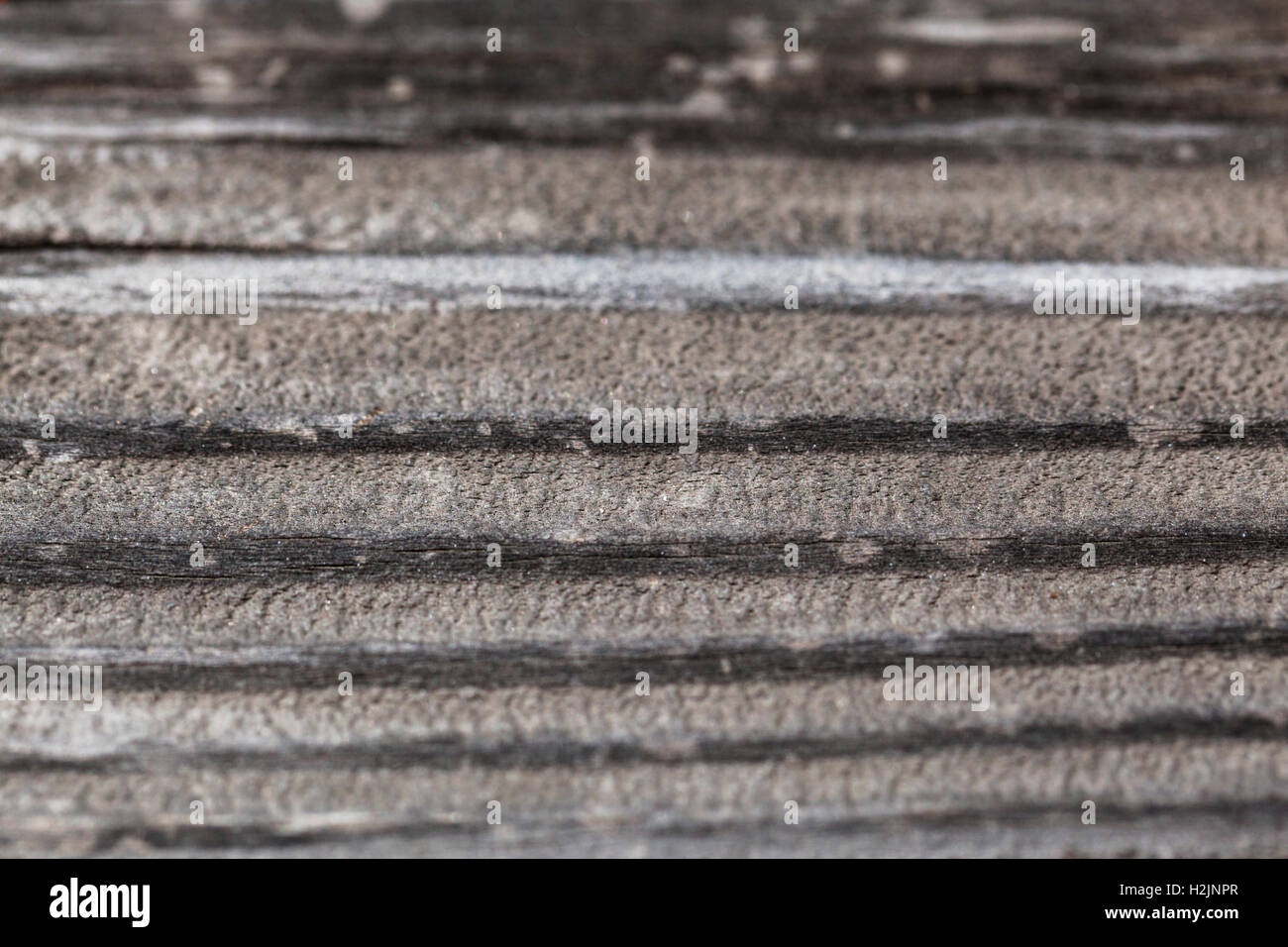 Holzmaserung kiefer -Fotos und -Bildmaterial in hoher Auflösung – Alamy