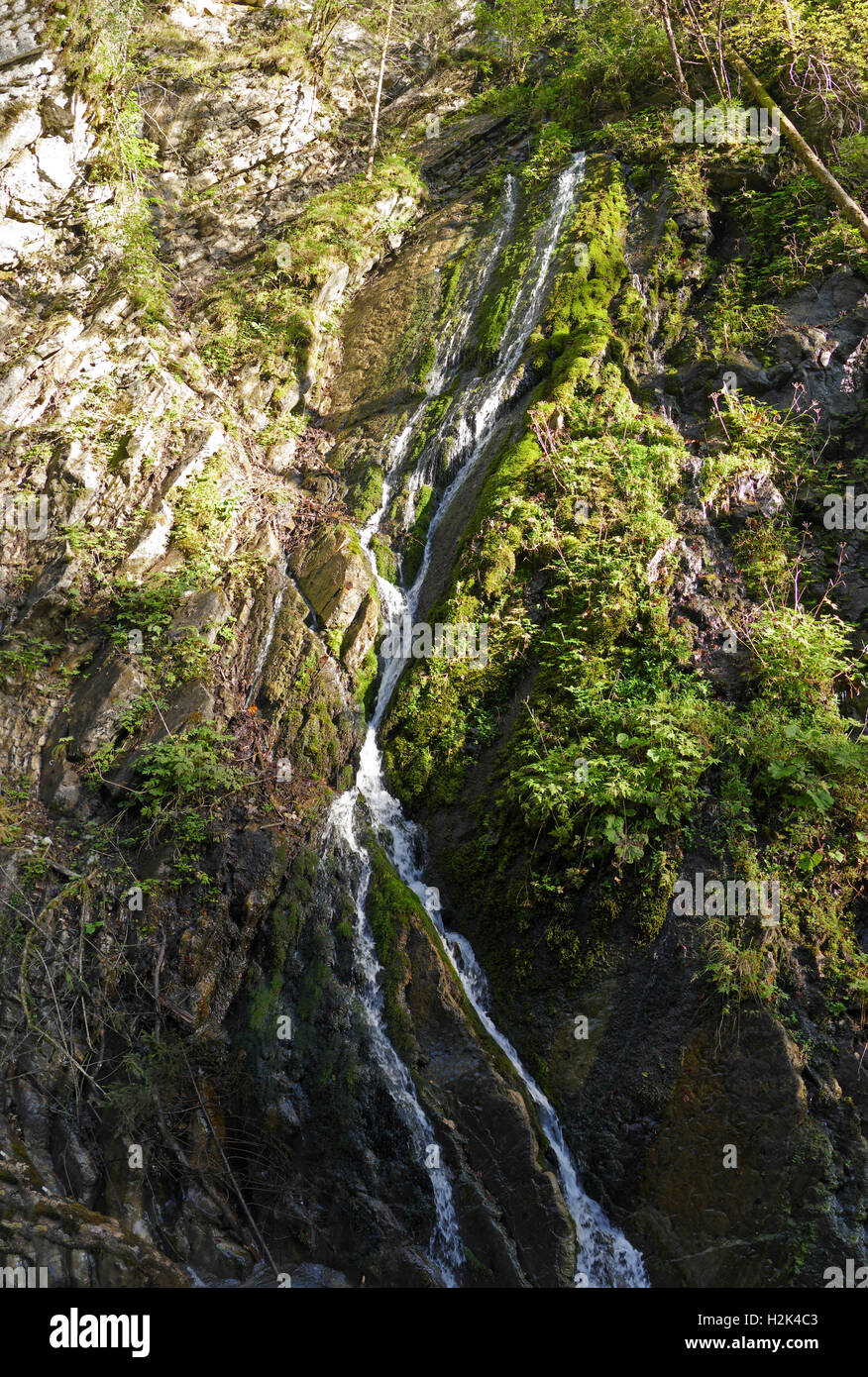 Berchtesgadener Nationalpark Wimbach Klamm Wimbahklamm Wasserfall ...