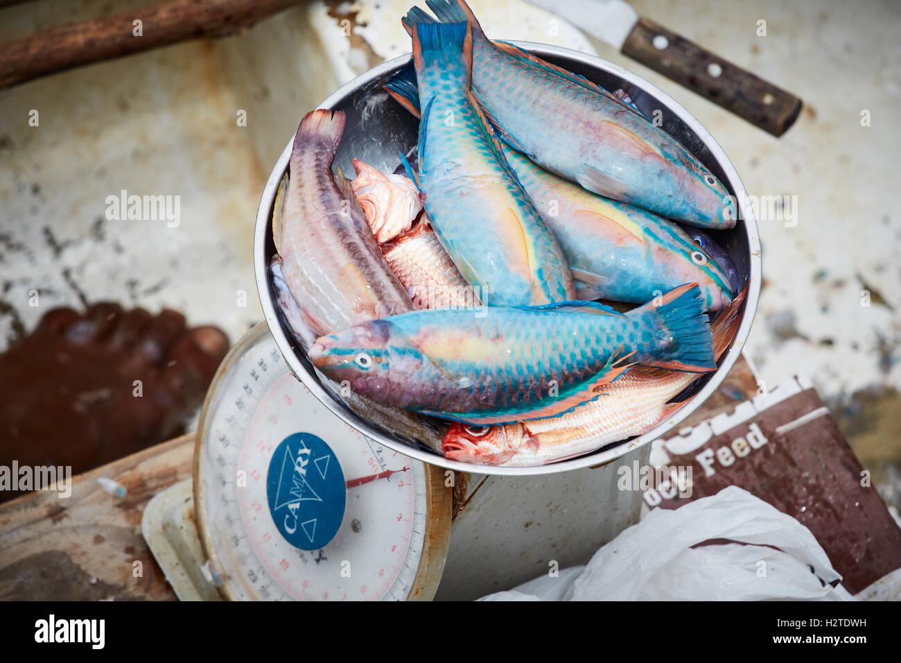 Barbados Fischer Boot Fischen kleine Verschrottung lokale Händler Mann ...