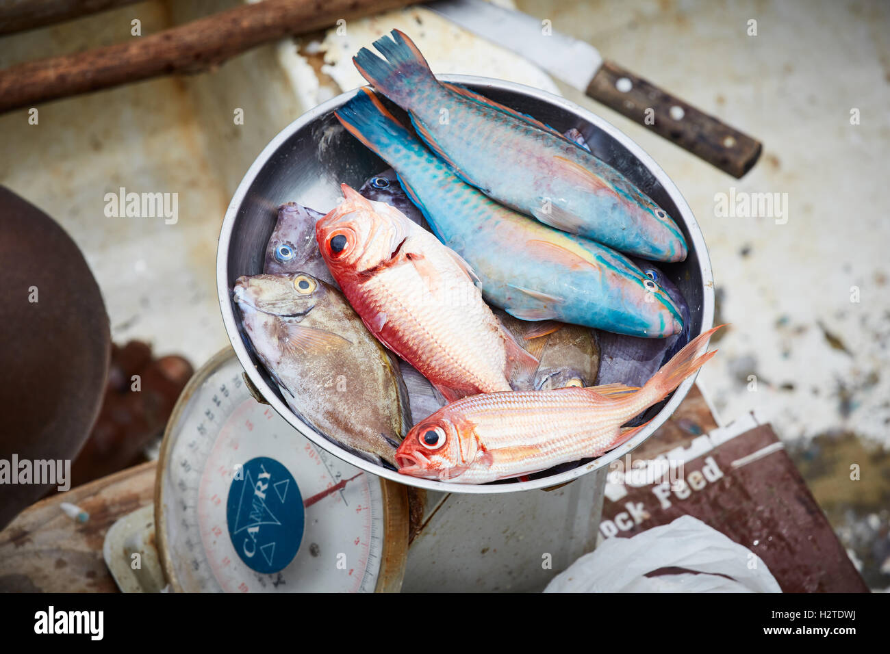 Barbados kleines fischerboot -Fotos und -Bildmaterial in hoher ...