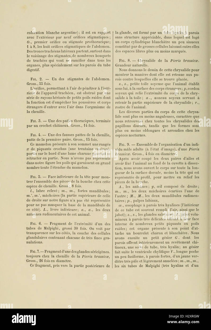 Dieser vergleichende Anatomie-atlas bietet detaillierte Abbildungen und ...