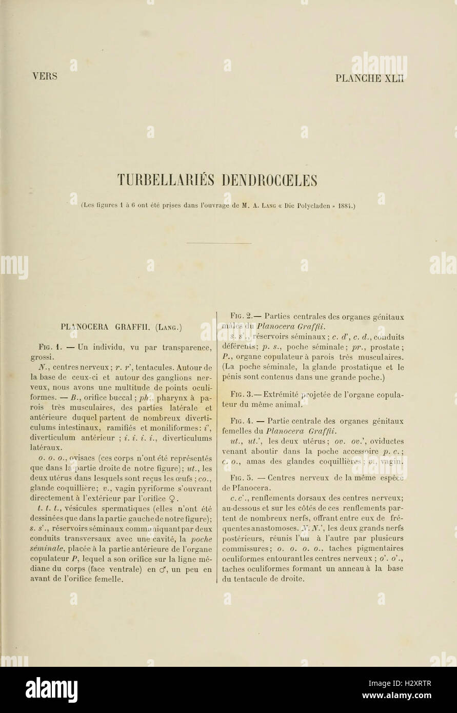 Dieser atlas bietet vergleichende anatomische Darstellungen von ...