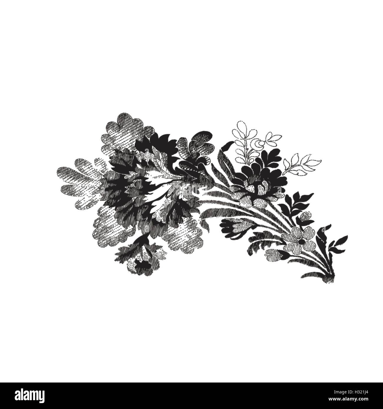 Vektor schöne Hand gezeichnete Blumen Blumenstrauß. Element design ...