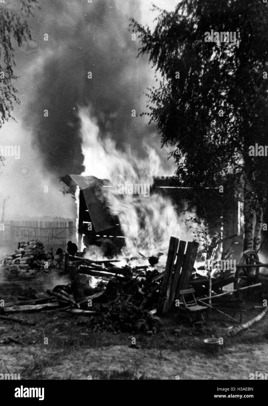 Nazi deutschland ostfront zweiter weltkrieg ww2 -Fotos und ...