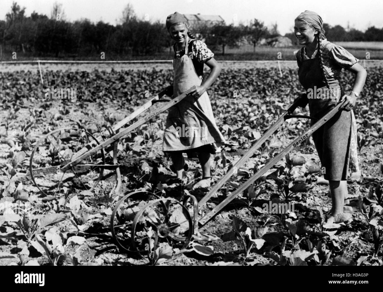 Bdm landdienst -Fotos und -Bildmaterial in hoher Auflösung – Alamy