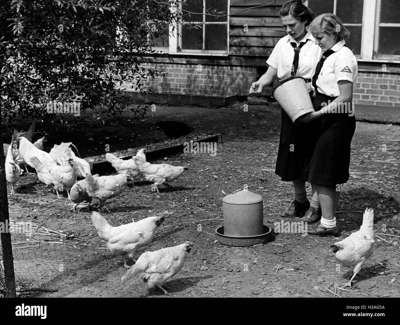 Ddr land -Fotos und -Bildmaterial in hoher Auflösung – Alamy