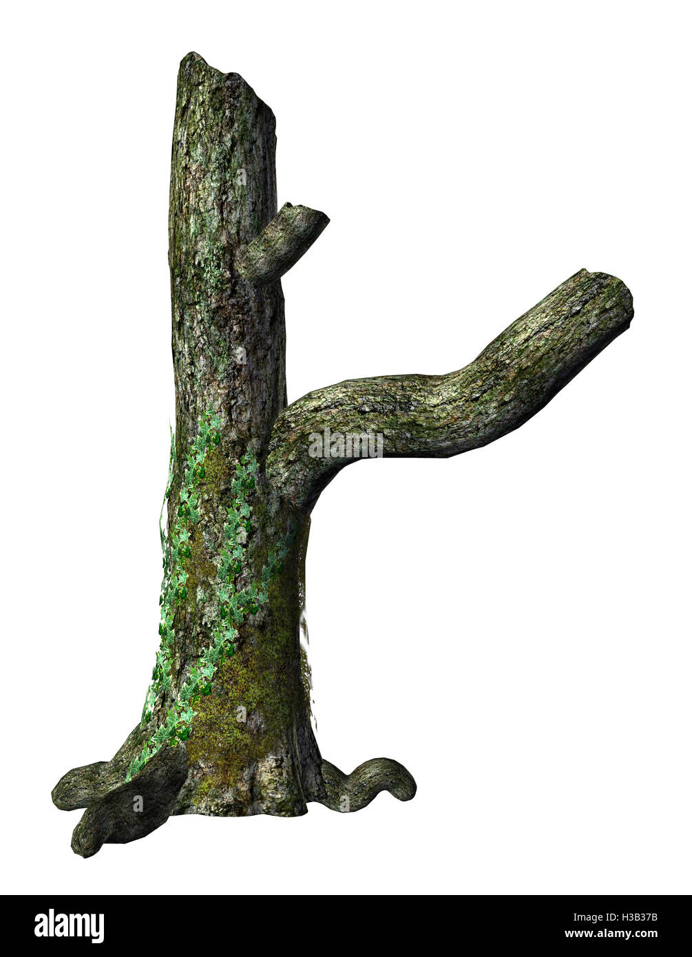 Toter hartholzbaum -Fotos und -Bildmaterial in hoher Auflösung – Alamy