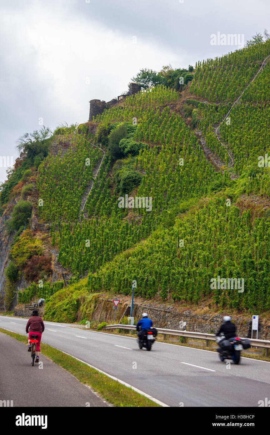 Mosel weinberg zeichen enkirch -Fotos und -Bildmaterial in hoher ...