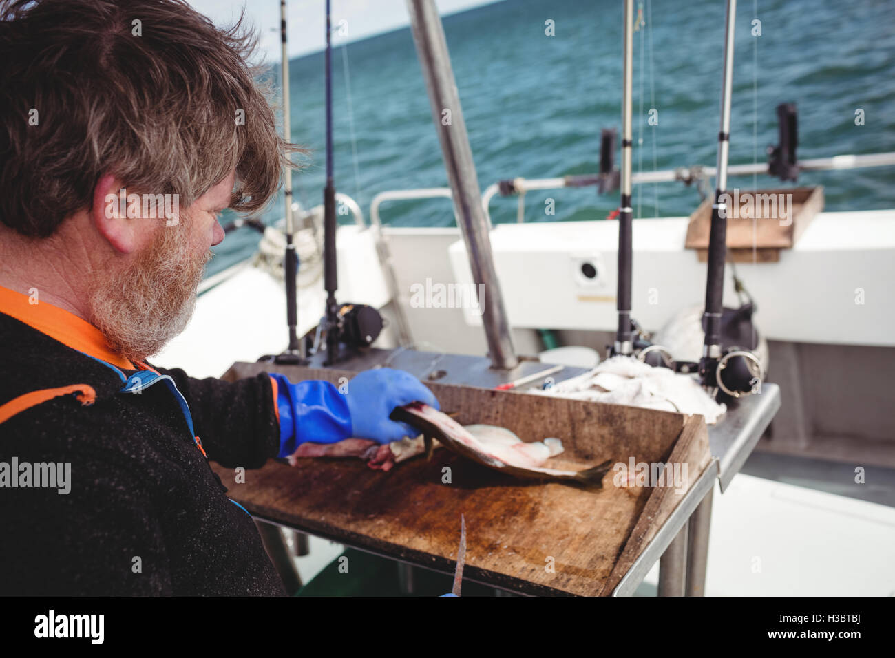 Konzentration des fischers -Fotos und -Bildmaterial in hoher Auflösung ...