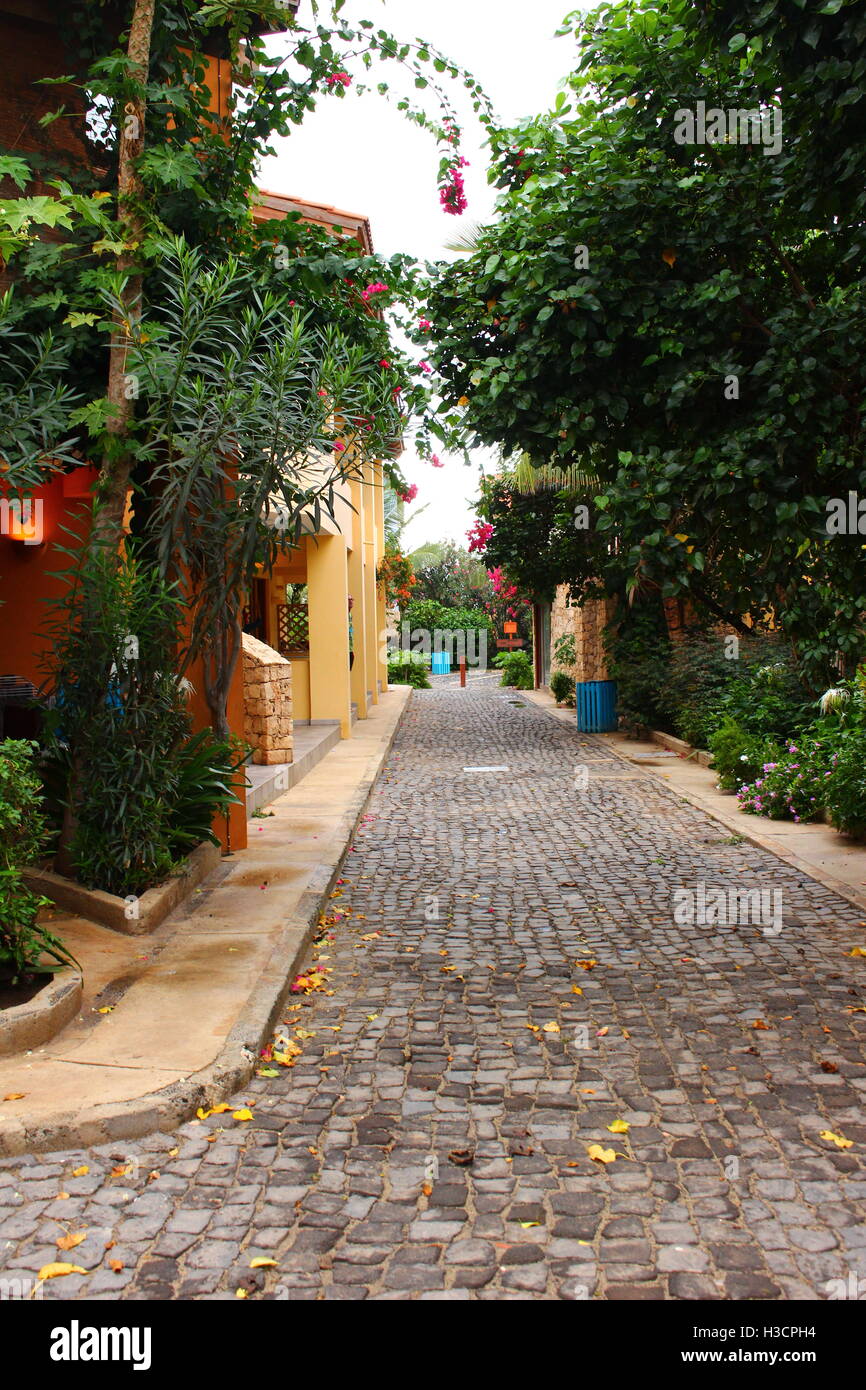 Sal insel -Fotos und -Bildmaterial in hoher Auflösung – Alamy