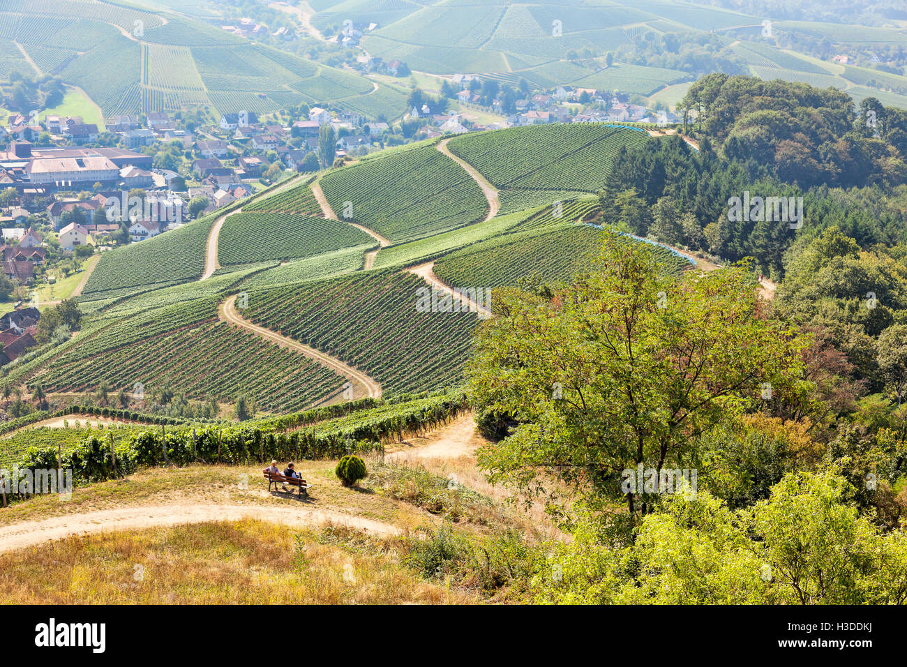 Schloss Staufenberg Winery Durbach Baden Württemberg Germany Stockfotos und -bilder Kaufen - Alamy