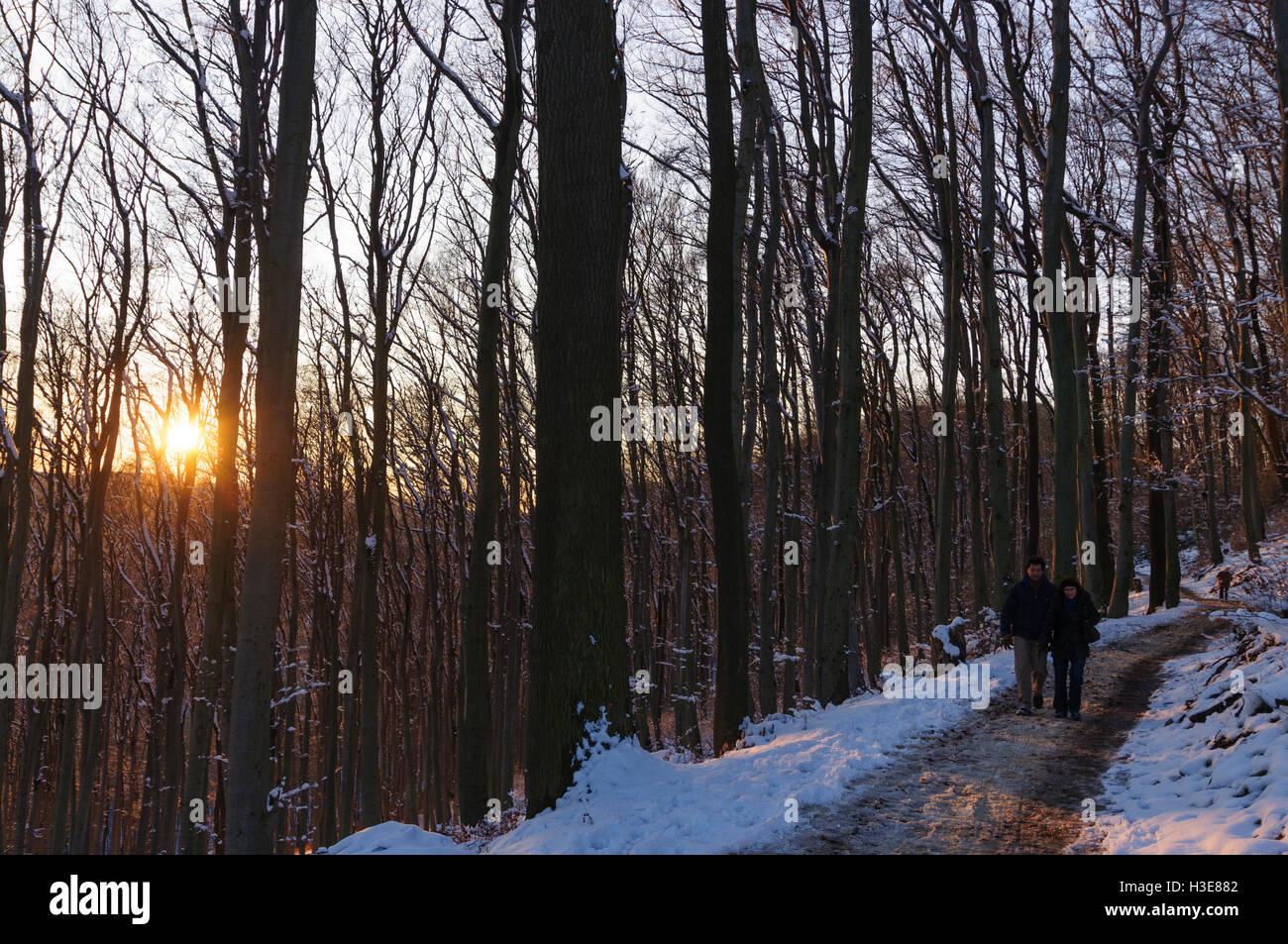 Wienerwald im wienerwald wienerwald -Fotos und -Bildmaterial in hoher ...
