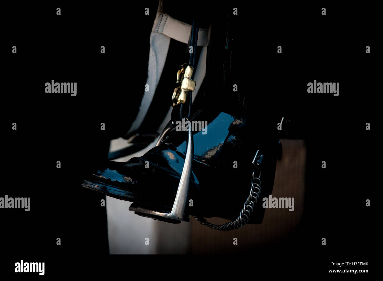 Body guards -Fotos und -Bildmaterial in hoher Auflösung – Alamy