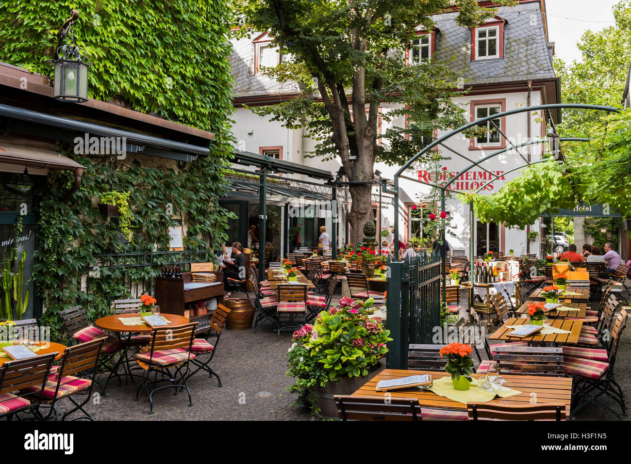 Restaurants Am Rhein In Der Nahe