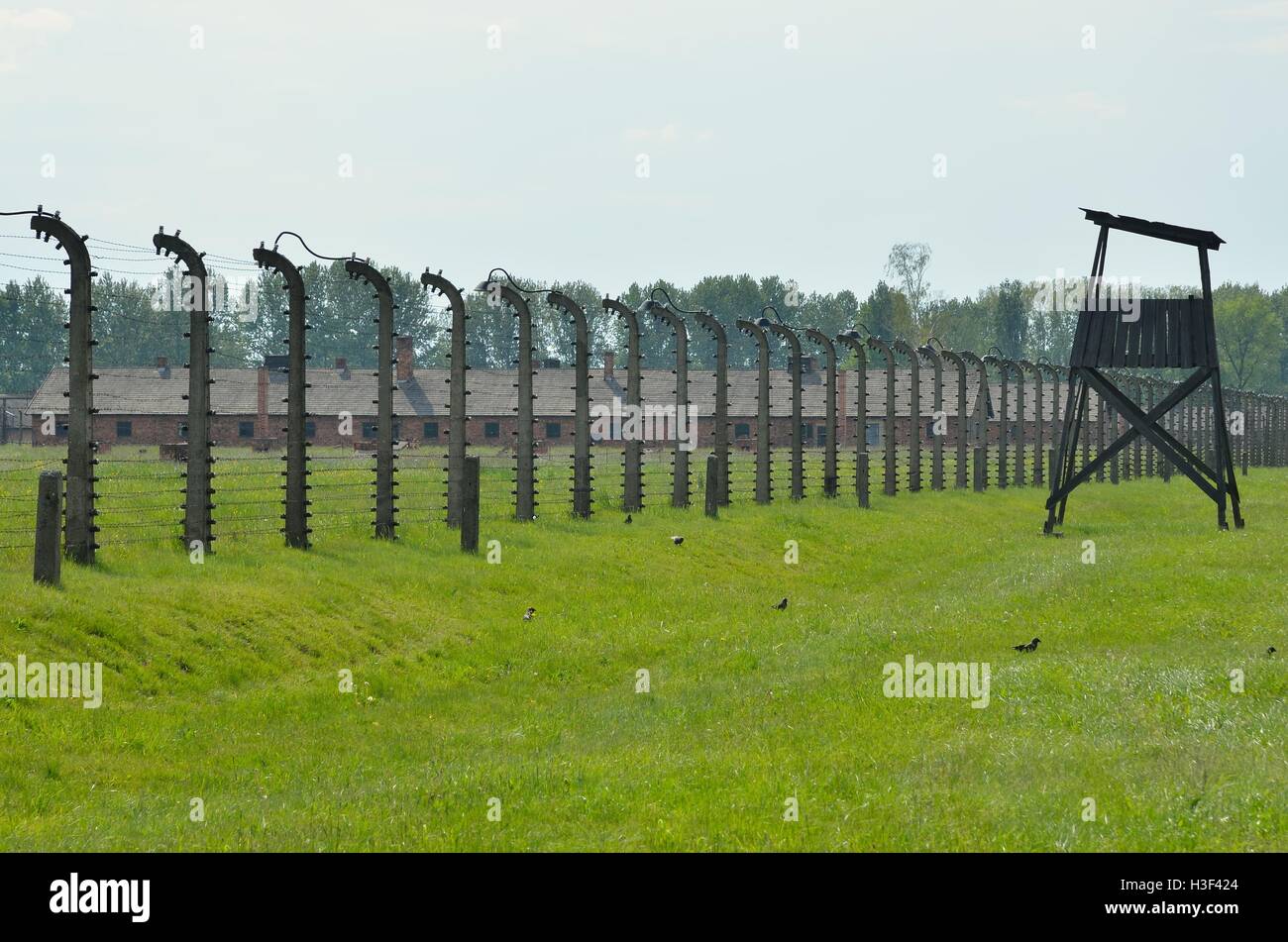 Auschwitz gefängnis -Fotos und -Bildmaterial in hoher Auflösung – Alamy