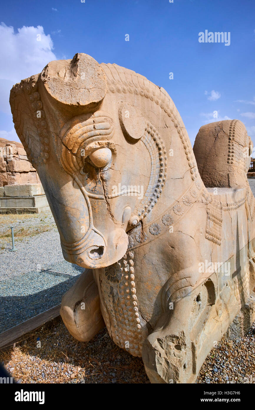 Iran, Provinz Fars, Persepolis, Weltkulturerbe der UNESCO, Säulen des ...