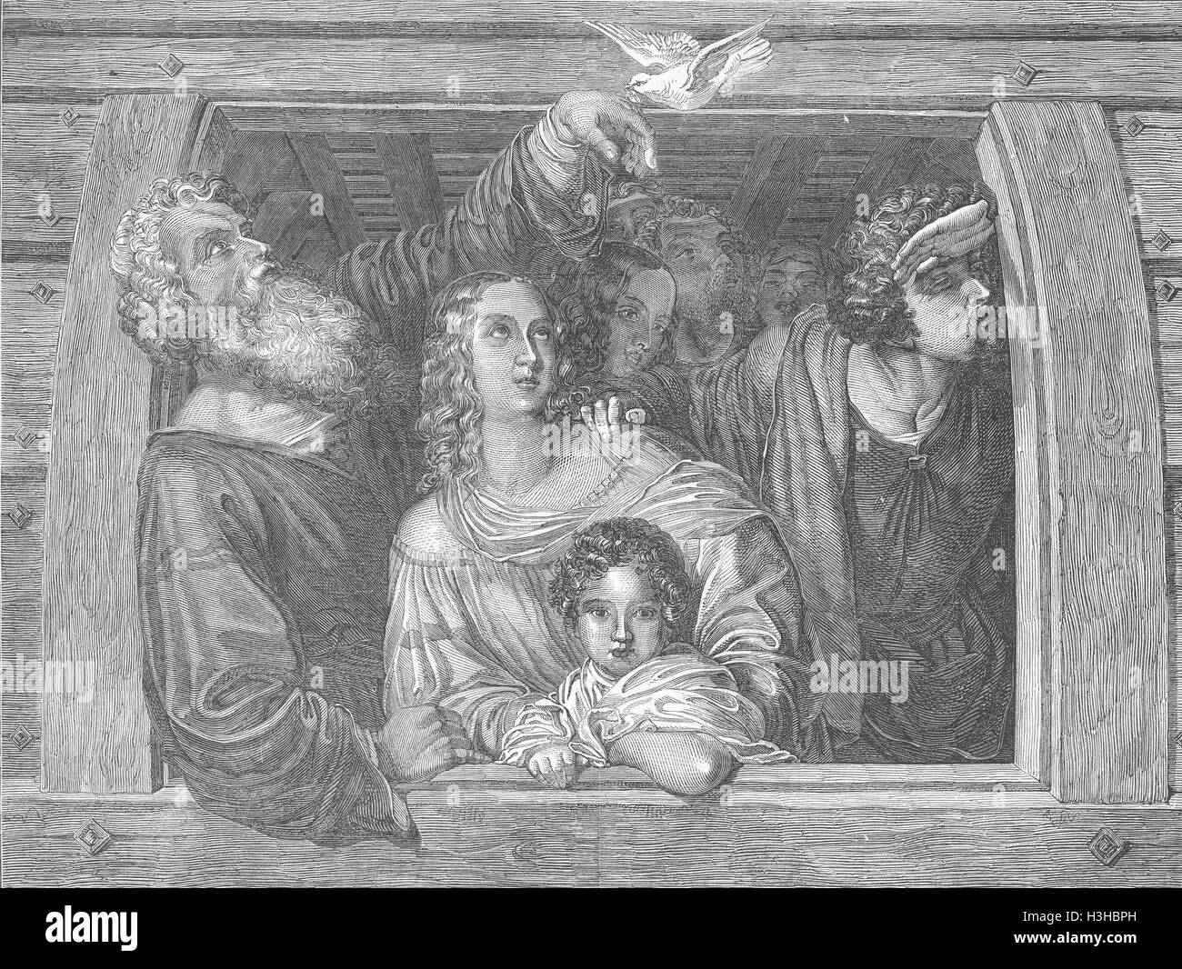 Dove family -Fotos und -Bildmaterial in hoher Auflösung – Alamy
