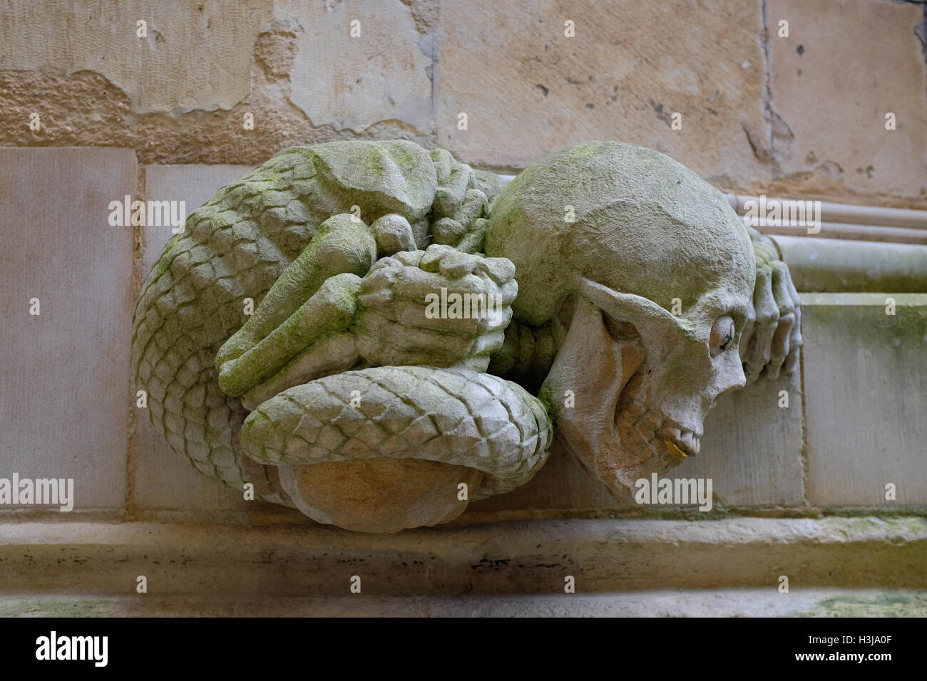 Moderne groteske -Fotos und -Bildmaterial in hoher Auflösung – Alamy