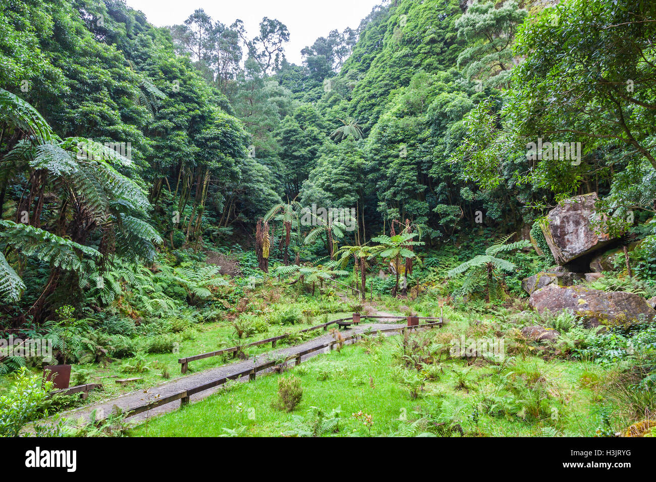 Caldeira velha naturpark -Fotos und -Bildmaterial in hoher Auflösung ...
