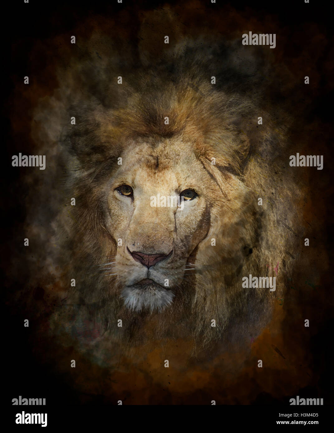 Abstrakter löwe -Fotos und -Bildmaterial in hoher Auflösung – Alamy