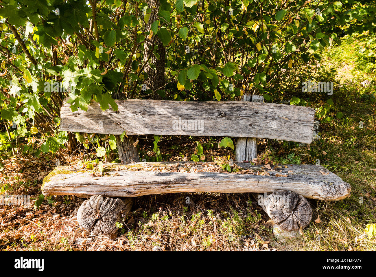 Bank wald natur -Fotos und -Bildmaterial in hoher Auflösung – Alamy