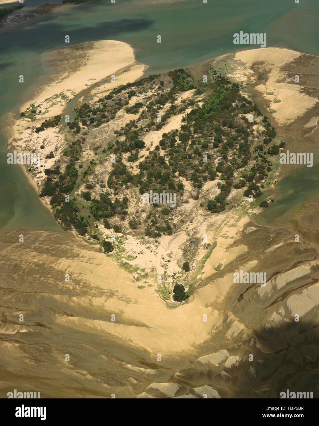 Riverine vegetation -Fotos und -Bildmaterial in hoher Auflösung – Alamy