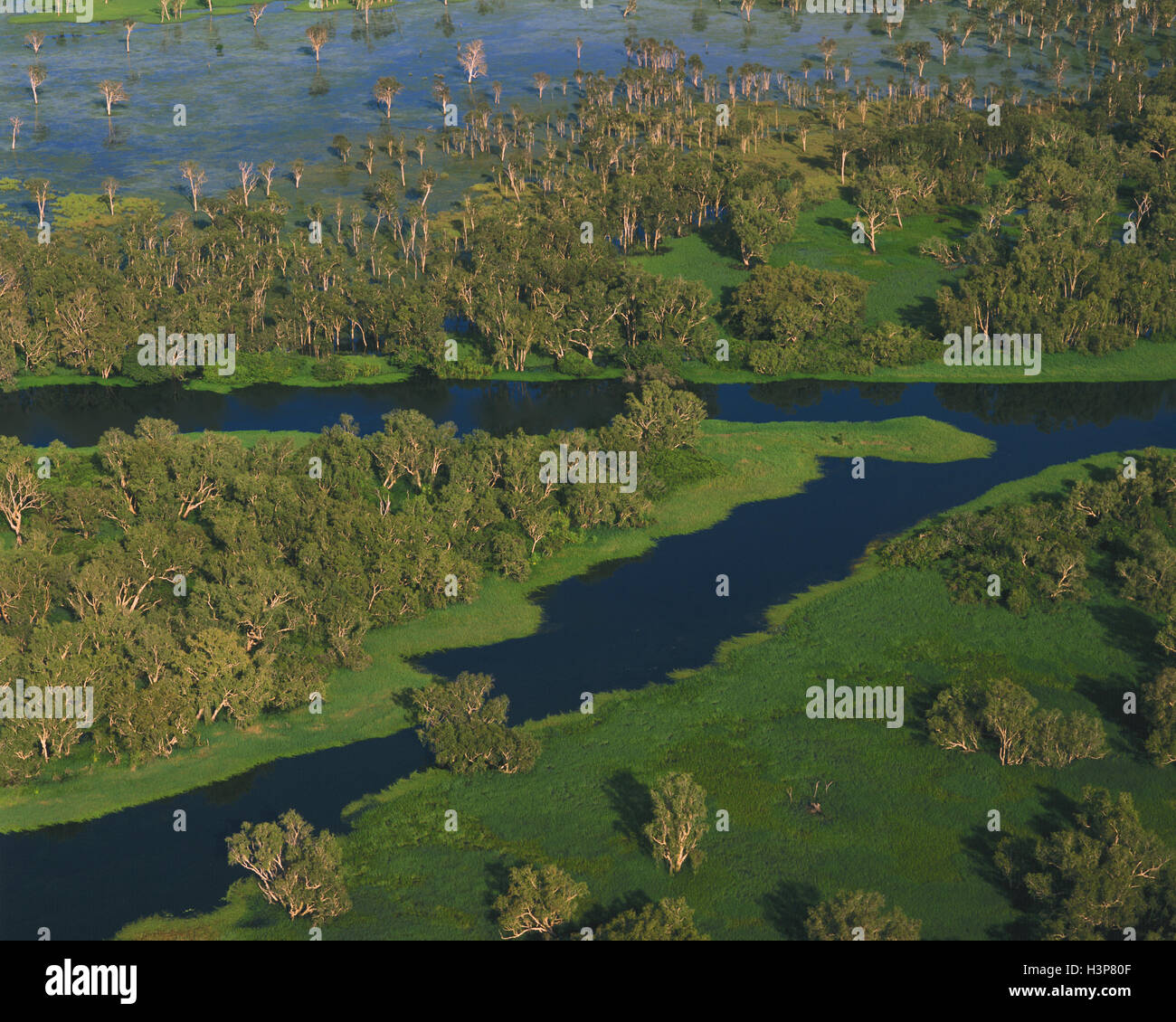 Magela feuchtgebiete -Fotos und -Bildmaterial in hoher Auflösung – Alamy