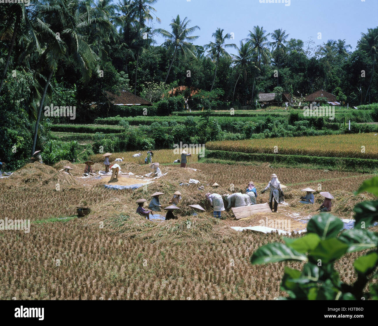 Small sundainseln -Fotos und -Bildmaterial in hoher Auflösung – Alamy