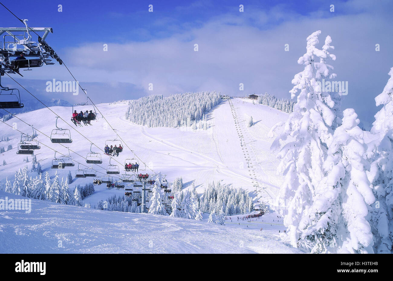 Österreich, Tirol, Scheffau, Ski Gebiet, Skipisten, Sessel Lifte ...