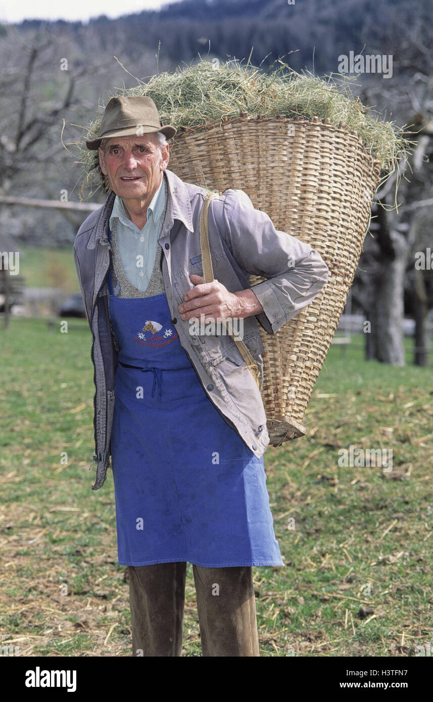 Italien, Südtirol, verpfänden, Rückentrage, Heu, Europa, Mann, alte ...