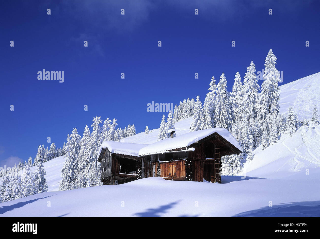 Winterlandschaft, Neigung, Nadelwald, Holzhaus, Schnee, Winter, Schnee ...